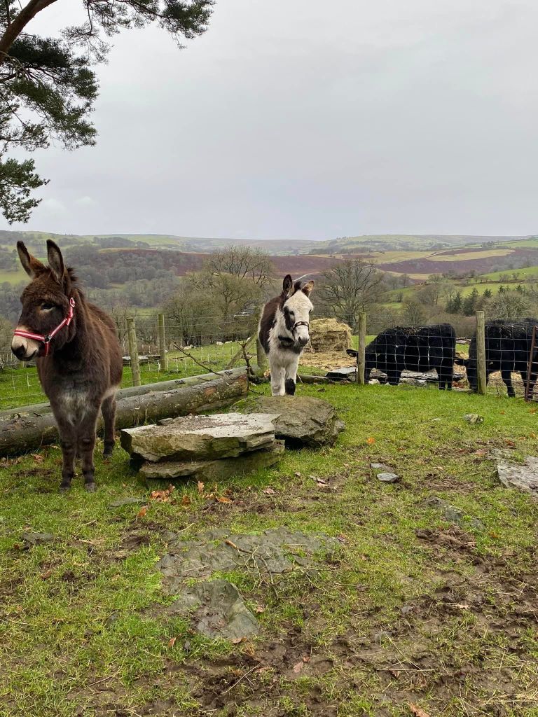 Gallery – Great House Farm